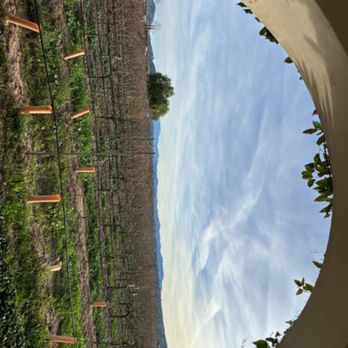 PONTE VINEYARD INN - Updated August 2025 - 718 Photos & 324 Reviews ...