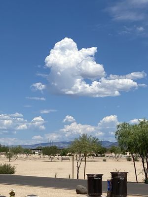 NATIONAL MEMORIAL CEMETERY OF ARIZONA - Updated March 2026 - 94 Photos ...