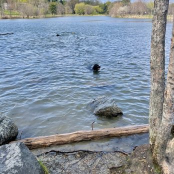 FRESH POND - Updated December 2025 - 66 Photos & 83 Reviews - 250 Fresh ...