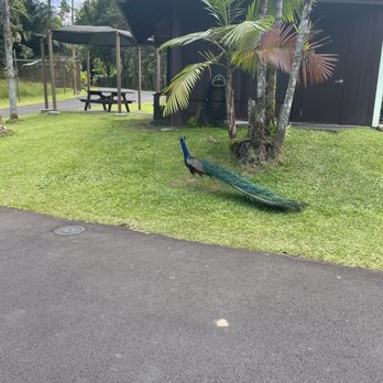 PANA’EWA RAINFOREST ZOO & GARDENS - Updated March 2025 - 829 Photos ...