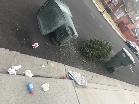 BERTOLOTTI DISPOSAL - Updated October 2025 - 13 Photos & 49 Reviews ...