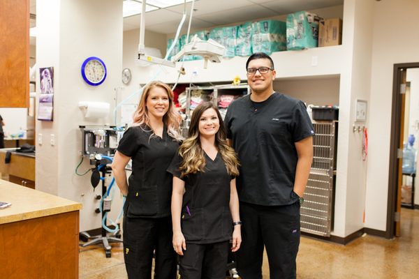 CHANDLER GILBERT ANIMAL HOSPITAL - Updated January 2026 - 45 Photos ...