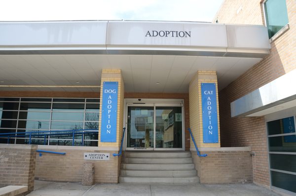 HUMANE SOCIETY OF MISSOURI - 34 Photos & 38 Reviews - 1201 Macklind Ave ...
