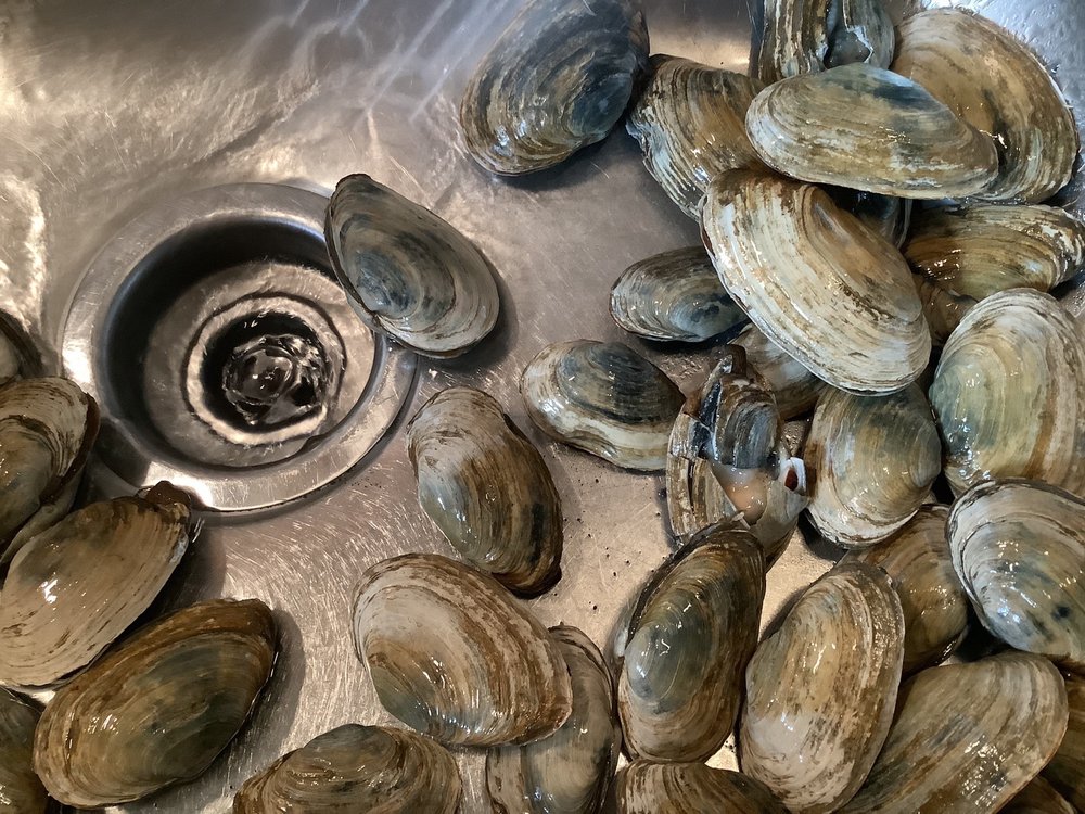 DOCKSIDE SEAFOOD MARKETPLACE - Updated July 2024 - 38 Photos & 65 ...