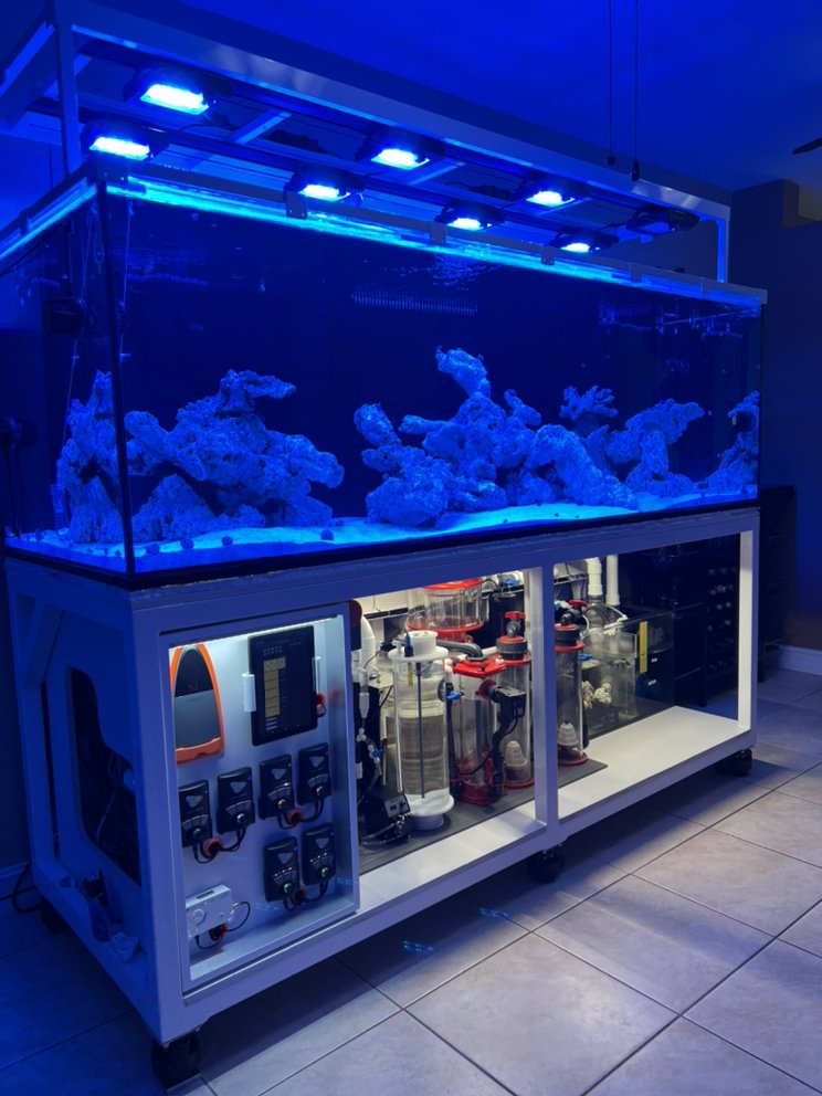 REEF AQUACULTURE - Updated August 2024 - Miami, Florida - Aquarium ...