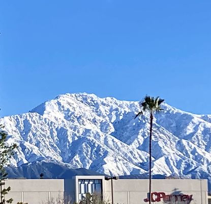 MONTCLAIR PLACE - Updated January 2026 - 476 Photos & 200 Reviews ...