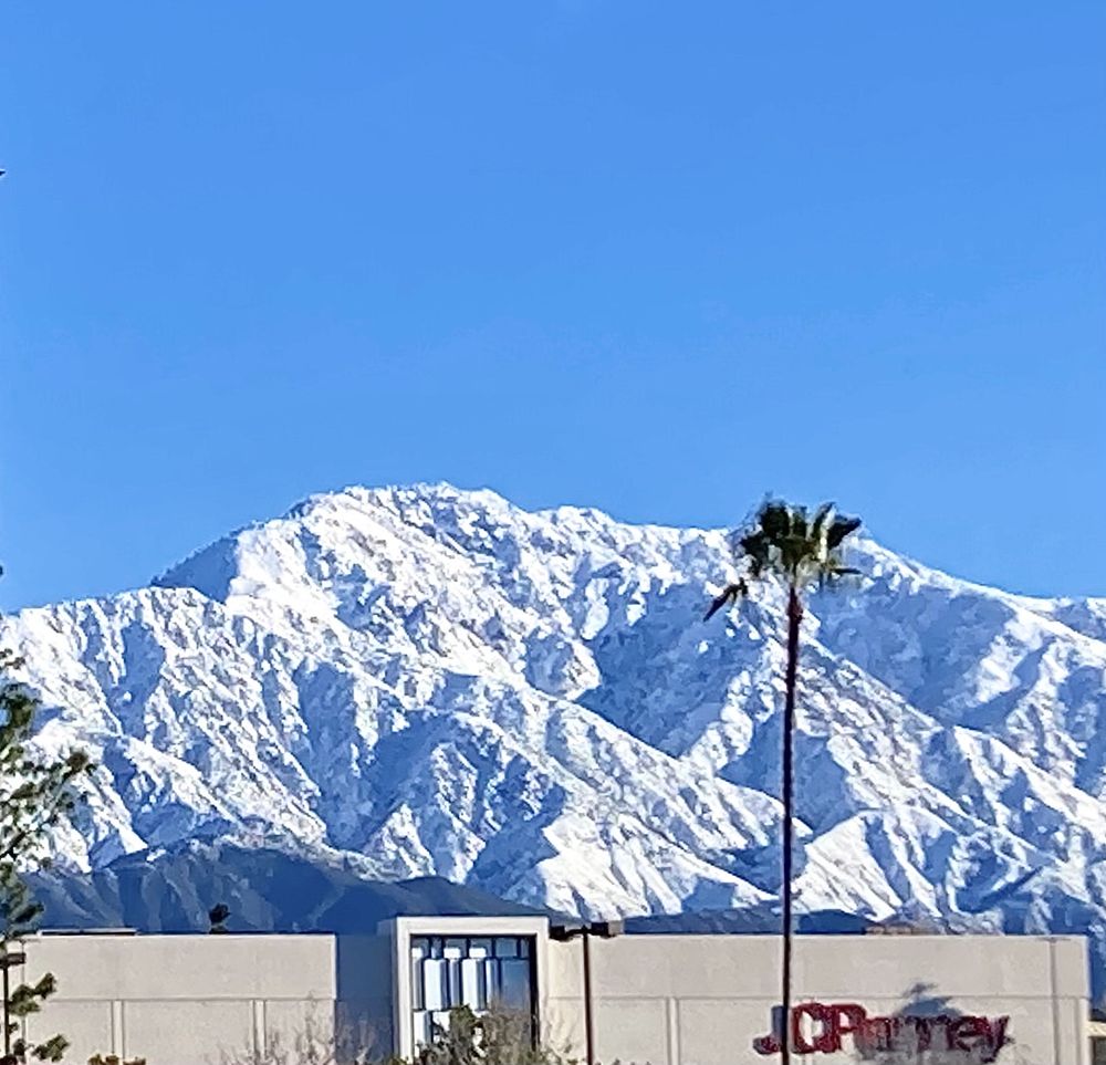 MONTCLAIR PLACE - Updated April 2024 - 391 Photos & 177 Reviews - 5060 ...