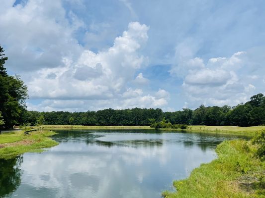 TOM TRIPLETT COMMUNITY PARK - Updated May 2025 - 174 Photos & 29 ...