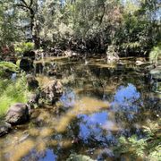 MICKE GROVE PARK - 153 Photos & 56 Reviews - 11793 N Micke Grove Rd ...