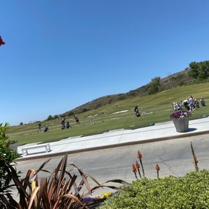 STRAWBERRY FARMS GOLF CLUB - 324 Photos & 312 Reviews - 11 Strawberry ...