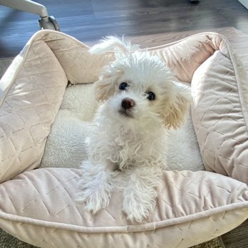 ELEMENT AUSTIN DOWNTOWN - Updated December 2025 - 187 Photos & 101 ...