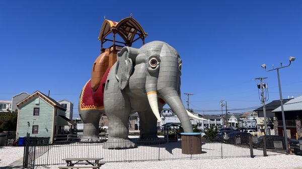 LUCY THE ELEPHANT - 301 Photos & 88 Reviews - 9200 Atlantic Ave ...