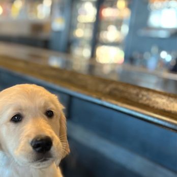 GLOBAL BREW TAP HOUSE - Updated December 2025 - 72 Photos & 74 Reviews ...