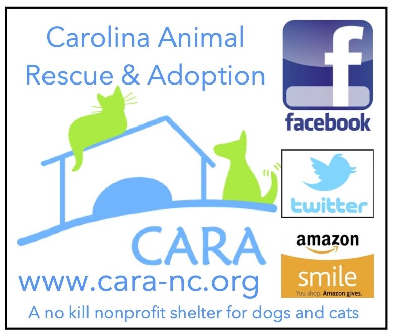 CAROLINA ANIMAL RESCUE & ADOPTION - Updated December 2025 - 42 Deep ...