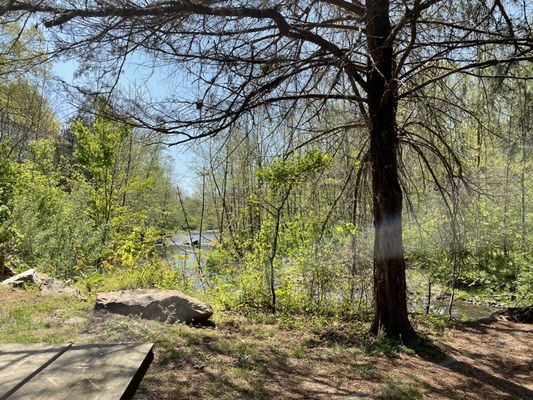 VIRGINIA BLUE RIDGE RAILWAY TRAIL - Updated October 2024 - 3124 Patrick ...