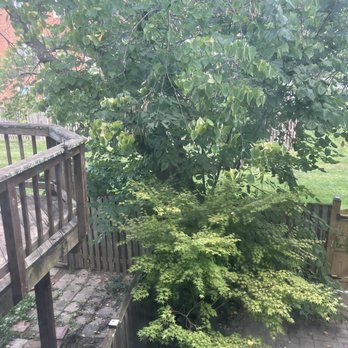 BAUTISTA LANDSCAPING - Updated January 2026 - 190 Photos & 28 Reviews ...