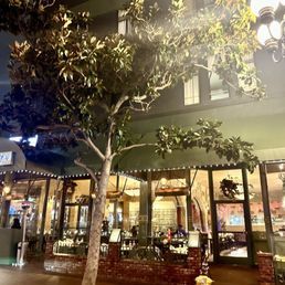 ROMANISSIMO CUCINA ITALIANA - Updated March 2025 - 168 Photos & 59 ...