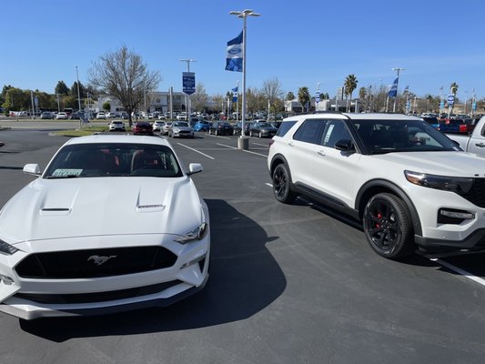 FREMONT FORD - 173 Photos & 917 Reviews - 39700 Balentine Dr, Newark ...