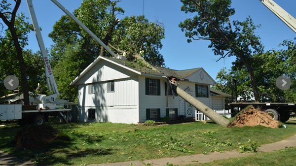 KACHUR TREE SERVICE - Updated December 2025 - 45 Photos - 316 Fulkerson ...