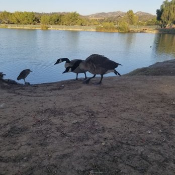 LINDO LAKE COUNTY PARK - Updated October 2025 - 283 Photos & 45 Reviews ...