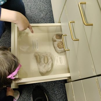 SPRINGFIELD SCIENCE MUSEUM - Updated October 2025 - 51 Photos & 14 ...