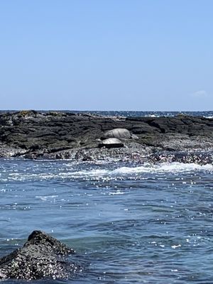 HA’ENA BEACH - AKA SHIPMAN BEACH - 82 Photos & 18 Reviews - Kaloli Dr ...