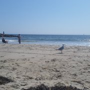 NAPATREE POINT / BEACH - 14 Photos & 12 Reviews - Beaches - 99 Fort Rd ...