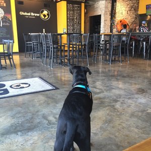 GLOBAL BREW TAP HOUSE - 61 Photos & 50 Reviews - 9578 Manchester Rd ...