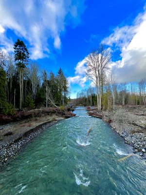 RAILROAD BRIDGE PARK - Updated January 2026 - 72 Photos & 18 Reviews ...