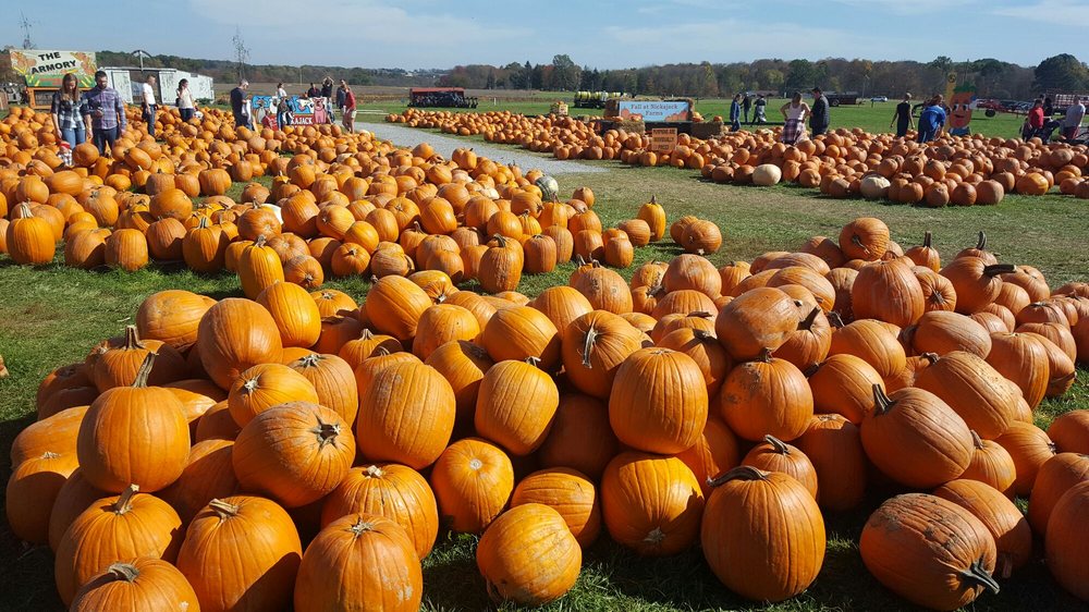 NICKAJACK FARMS - 52 Photos & 18 Reviews - 2955 Manchester Ave NW ...