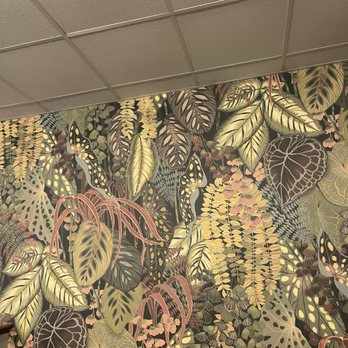 COCO AND HAZEL - Updated January 2025 - 130 Photos & 64 Reviews - 2733 ...