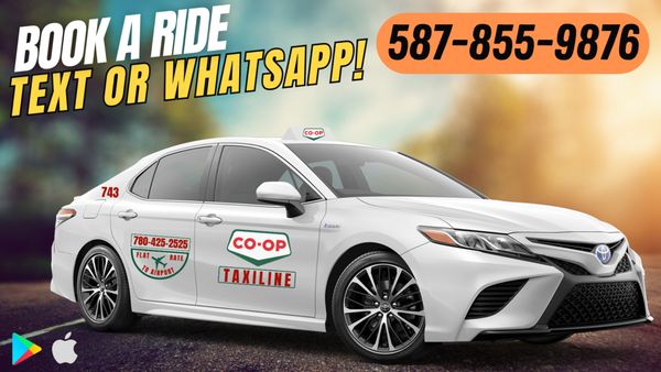 CO-OP TAXI LINE - Updated January 2026 - 180 Photos & 106 Reviews ...