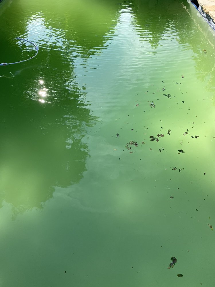 AQUA BRITE POOL & SPA SERVICE - Updated February 2025 - 13 Reviews ...