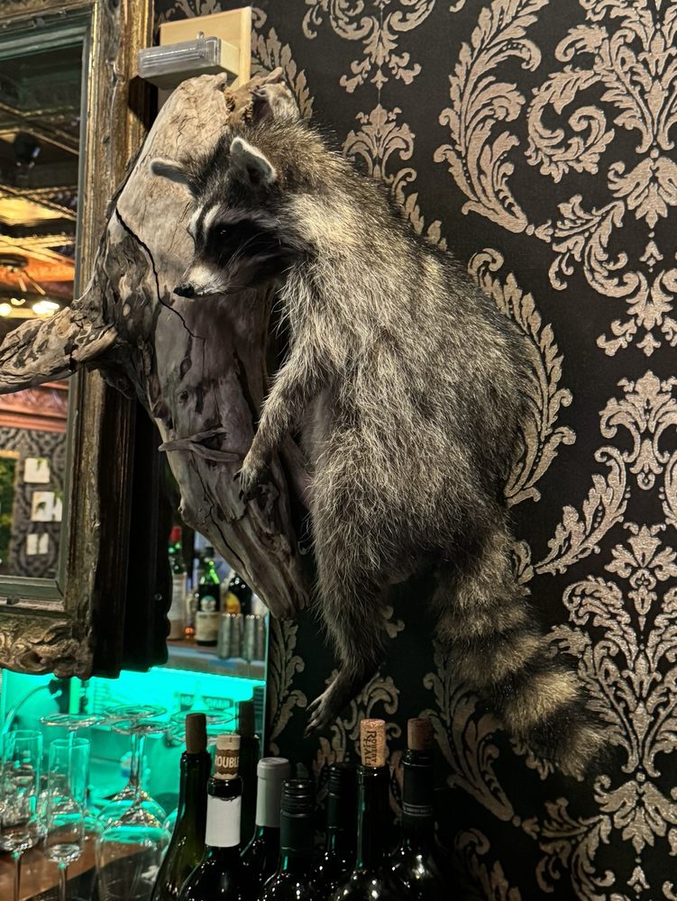 FERAL KITCHEN & LOUNGE - Updated December 2024 - 63 Photos & 26 Reviews ...