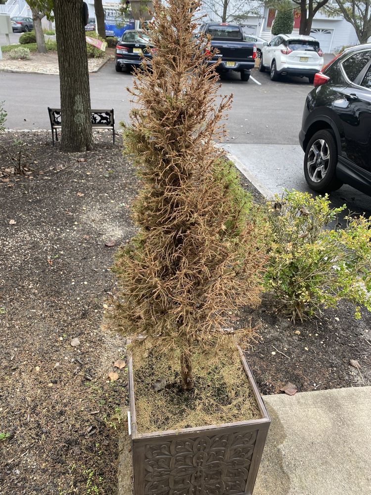 ANCHOR PEST CONTROL - Updated September 2024 - 11 Photos & 17 Reviews ...