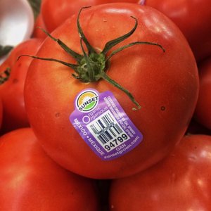 SAMI FRUITS - 18 Photos - 8200 19E Avenue, Montréal, Quebec ...