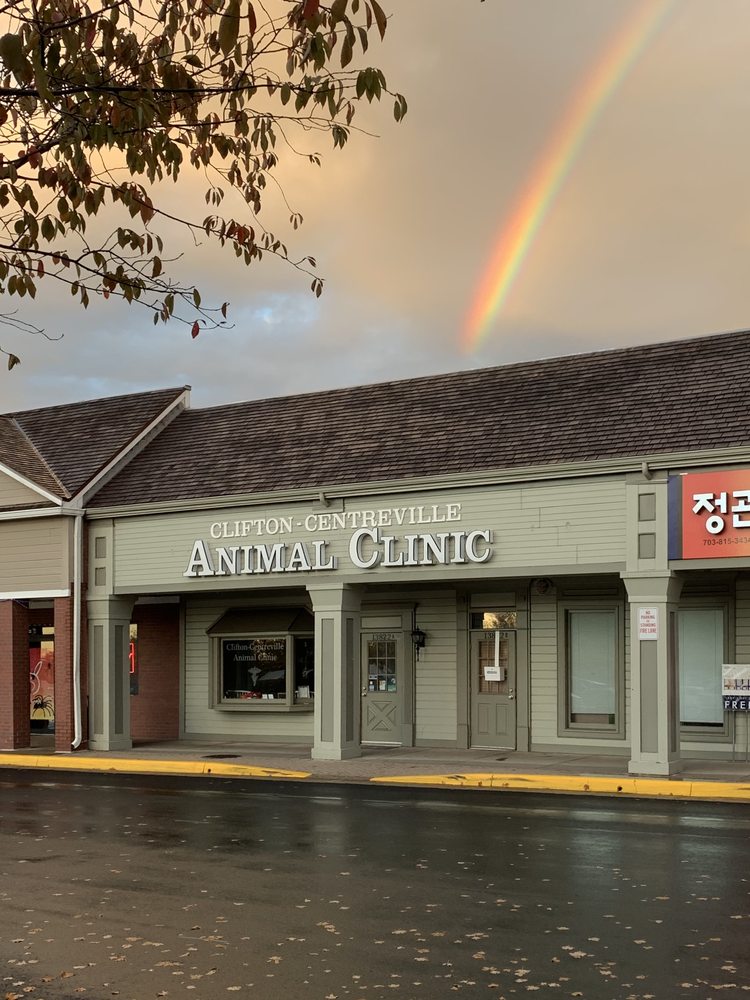 CLIFTON-CENTREVILLE ANIMAL CLINIC - 16 Photos & 60 Reviews - 13822 ...
