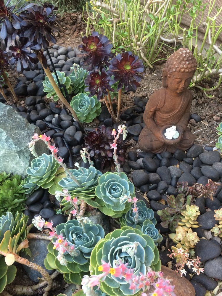 VICKY BOOTH, LCSW - Updated January 2026 - 3015 O St, Sacramento ...