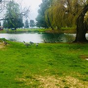 DAVIS MUNICIPAL GOLF COURSE - 22 Photos & 35 Reviews - Golf - 24439 ...