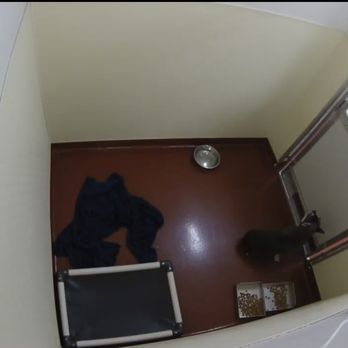 WAG HOTELS - WEST SAC - Updated November 2024 - 222 Photos & 468 ...