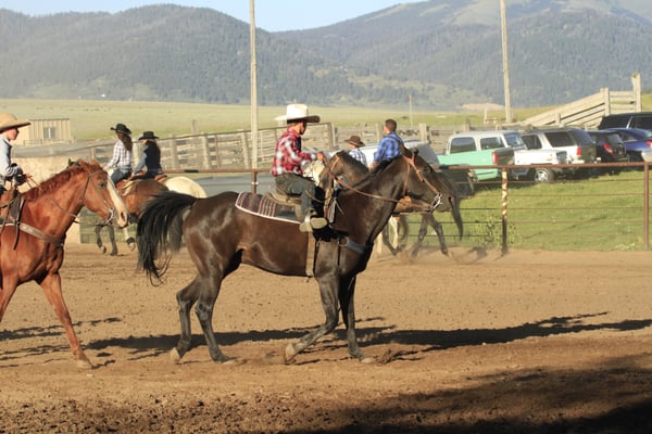 MEADOW VUE RANCH - Updated December 2025 - 27 Photos - 3728 Red Rock Rd ...