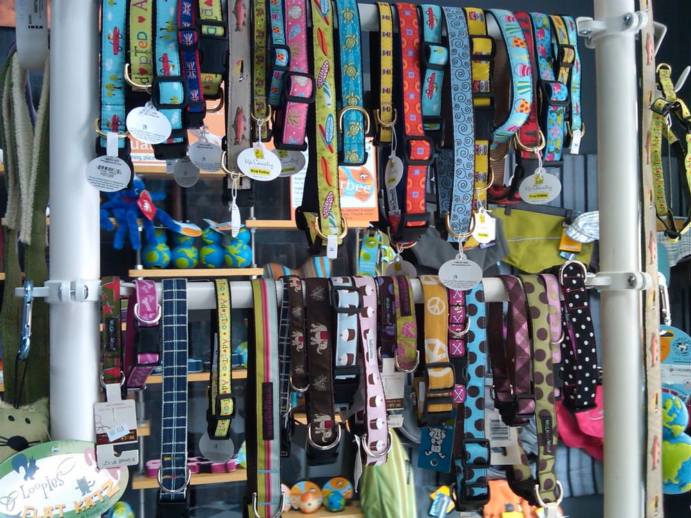 BLUE RIDGE DOG - Updated December 2025 - 15 Photos - 115 West Water St ...