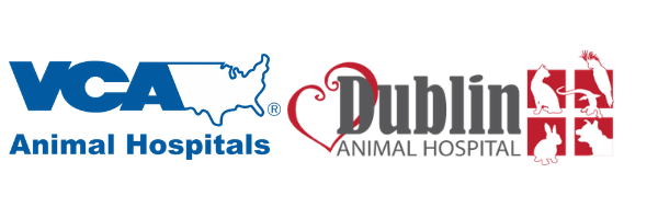 VCA DUBLIN ANIMAL HOSPITAL - Updated December 2025 - 20 Photos & 54 ...