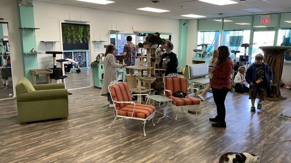 MOCHAS AND MEOWS - Updated July 2024 - 121 Photos & 68 Reviews - 3265 ...