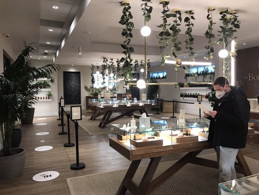 THE BOTANIST WORCESTER - Updated January 2025 - 14 Photos - 65 Pullman ...