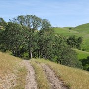 DIABLO FOOTHILLS REGIONAL PARK - 237 Photos & 44 Reviews - 1700 Castle ...