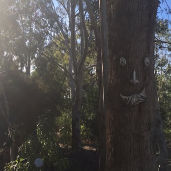 MINTARO MAZE GARDEN - 10 Photos - Jacka Rd, Mintaro South Australia ...