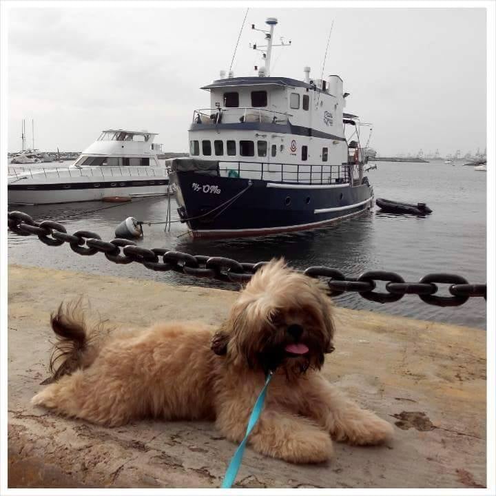 CCP COMPLEX GROUNDS - Updated July 2025 - Roxas Boulevard, Pasay, Metro ...