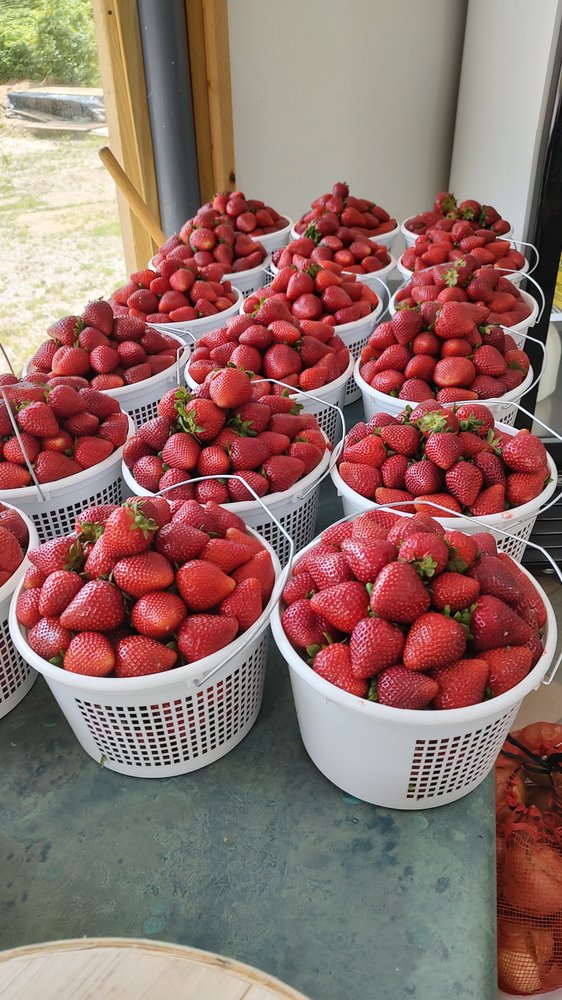 OWL PRODUCE MARKET - Updated July 2025 - 889 Asheville Hwy, Canton ...