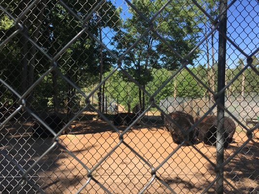 OSWALD’S BEAR RANCH - 189 Photos & 68 Reviews - 13814 County Rd 407 ...